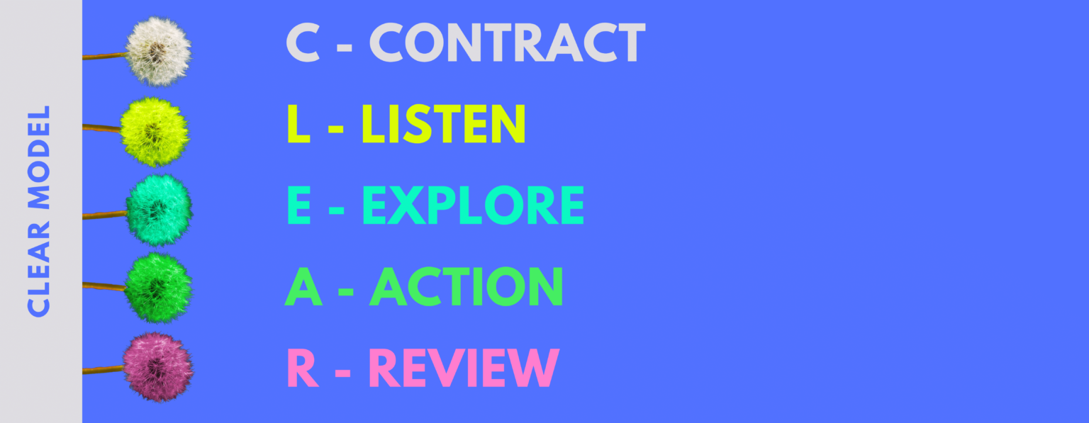 6 1/2 Powerful Coaching Models To Transform Your Coaching