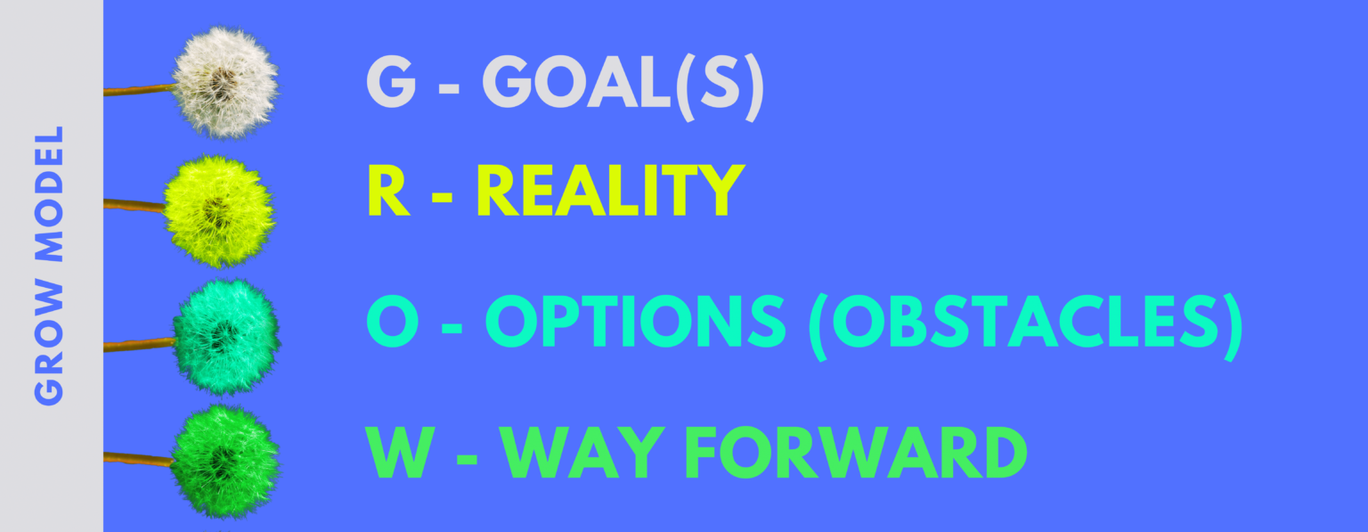 6 1/2 Powerful Coaching Models To Transform Your Coaching