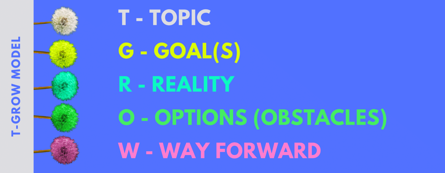 6 1/2 Powerful Coaching Models To Transform Your Coaching