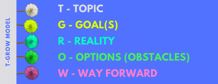 6 1/2 Powerful Coaching Models To Transform Your Coaching